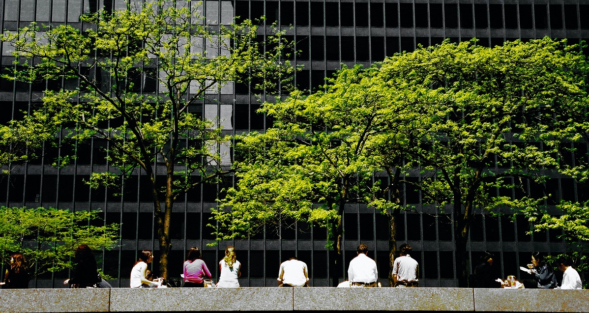 CSRD in Nederlandse wet en RJ - RJNet