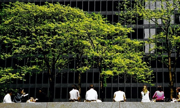 Implementation Guidance - RJNet